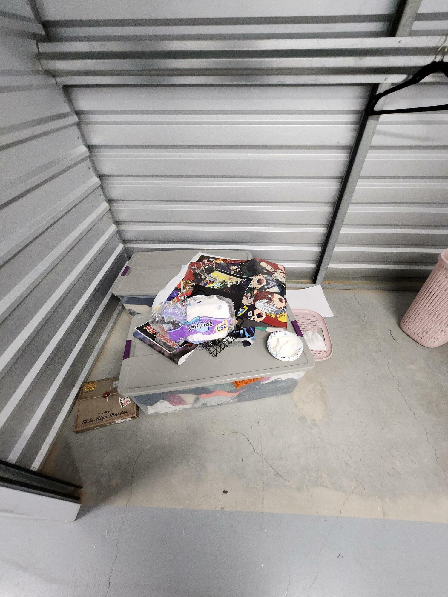 Storage Unit Auction in Pendleton, SC at USA Storage Centers-Clemson ...