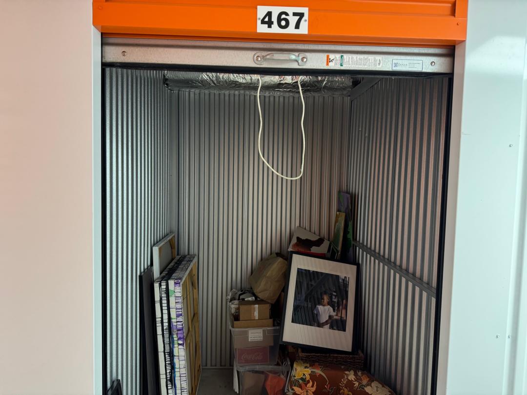 Storage Unit Auction in Savannah, GA at Continental Self Storage - Park ...